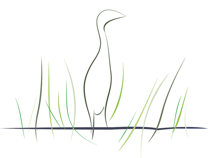 EPMP - Une nouvelle espèce de diatomée décrite dans le Marais poitevin